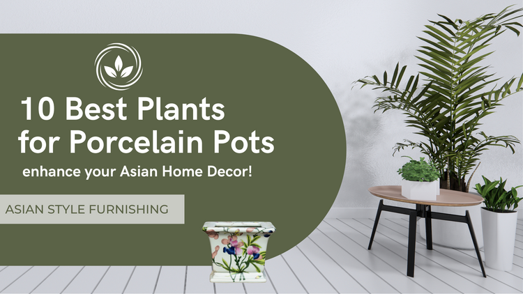 10 Best Plants for Porcelain Pots to Enhance Your Asian-Style Home Dec ...